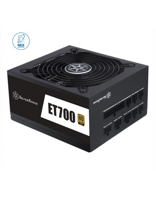 Silver Stone ET700 MG 700W 80 Plus Gold Fully Modular Power Supply